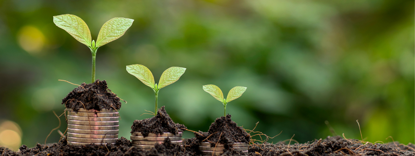 Empower Federal Credit Union | Central NY Accounts | Loans | EFCU